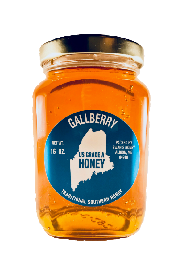 Gallberry Honey – Swan’s Honey